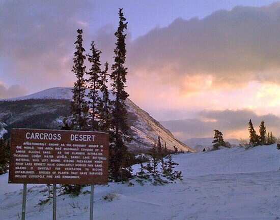 Carcross Desert in Canada | TimesTravel