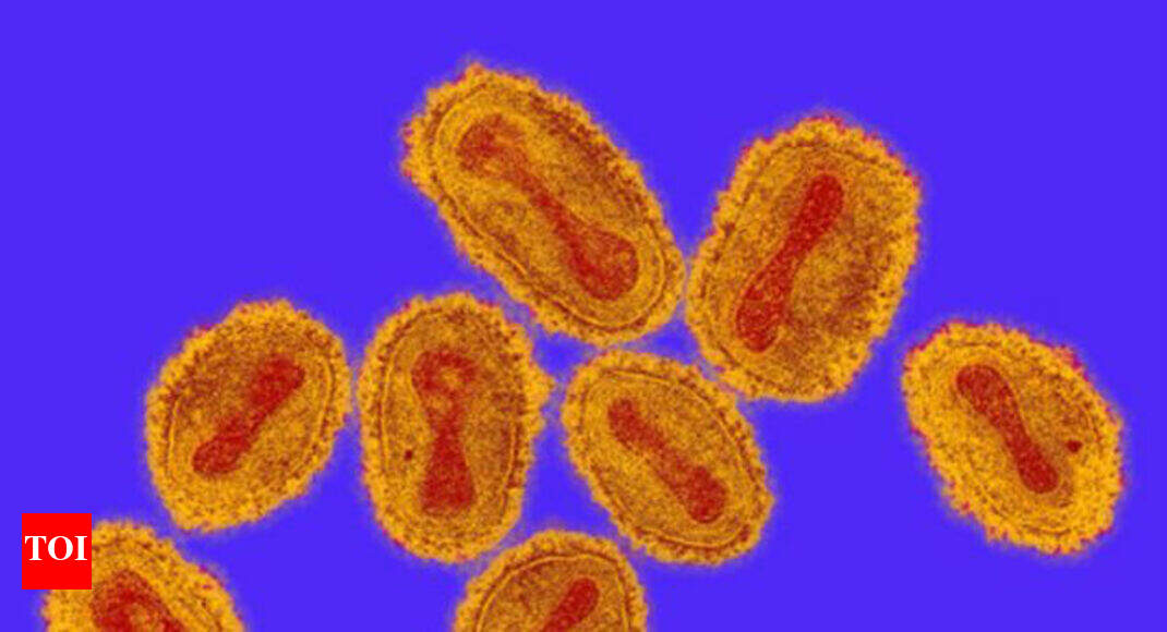 Vector: Vials containing smallpox virus discovered in US - Times of India