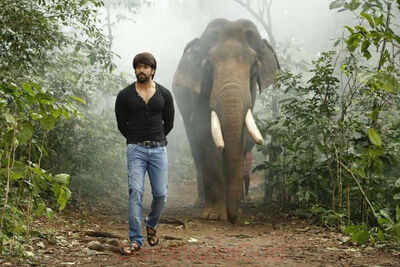 Yash fights with Sudeep, Shivanna to be the king | Kannada Movie News ...