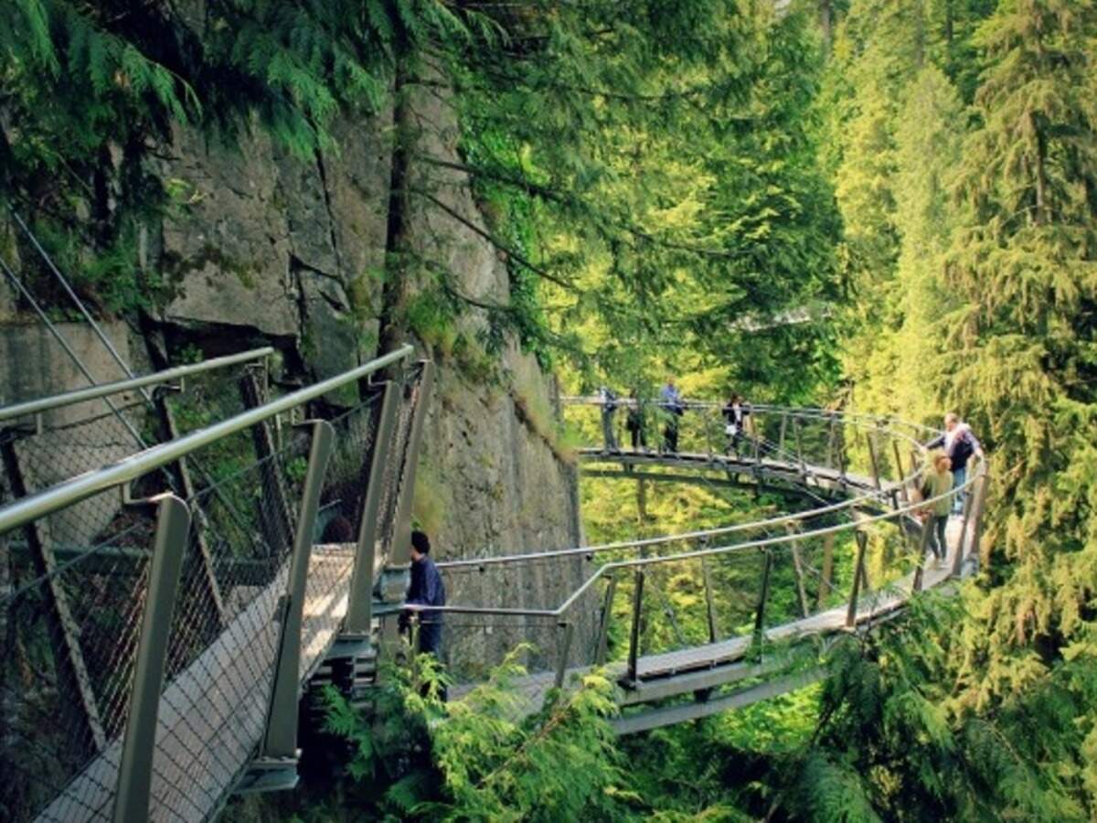Sacred Forests In Vancouver | Vancouver Forests Sightseeing | TimesTravel