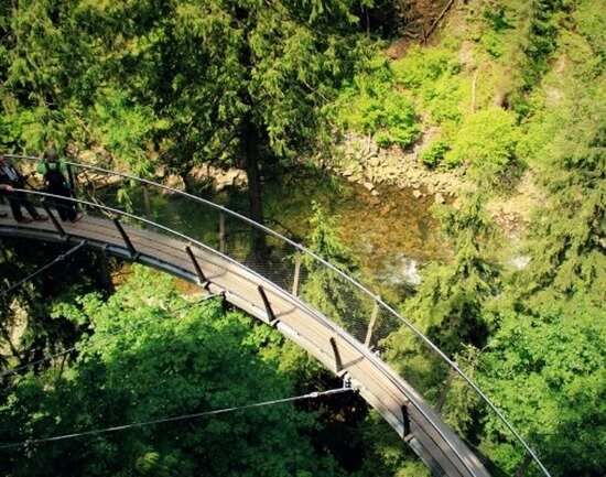 Sacred Forests In Vancouver | Vancouver Forests Sightseeing | Times of ...