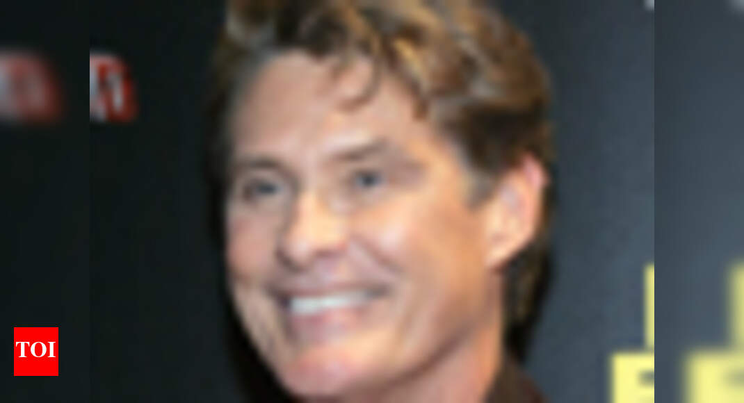 Hasselhoff looking for true love | English Movie News - Times of India