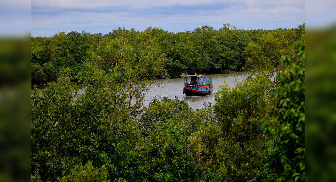Touring the Sunderbans | Times of India Travel