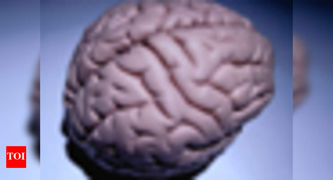 'Devil brain' behind bad eating habits! - Times of India