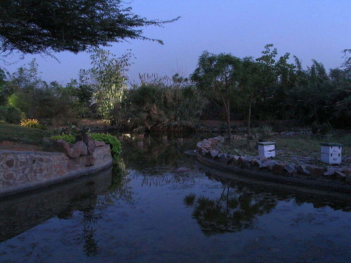 Garden Of Five Senses Delhi Get The Detail Of Garden Of Five Senses