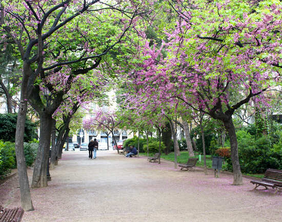 L'Eixample - Barcelona: Get the Detail of L'Eixample on TimesTravel