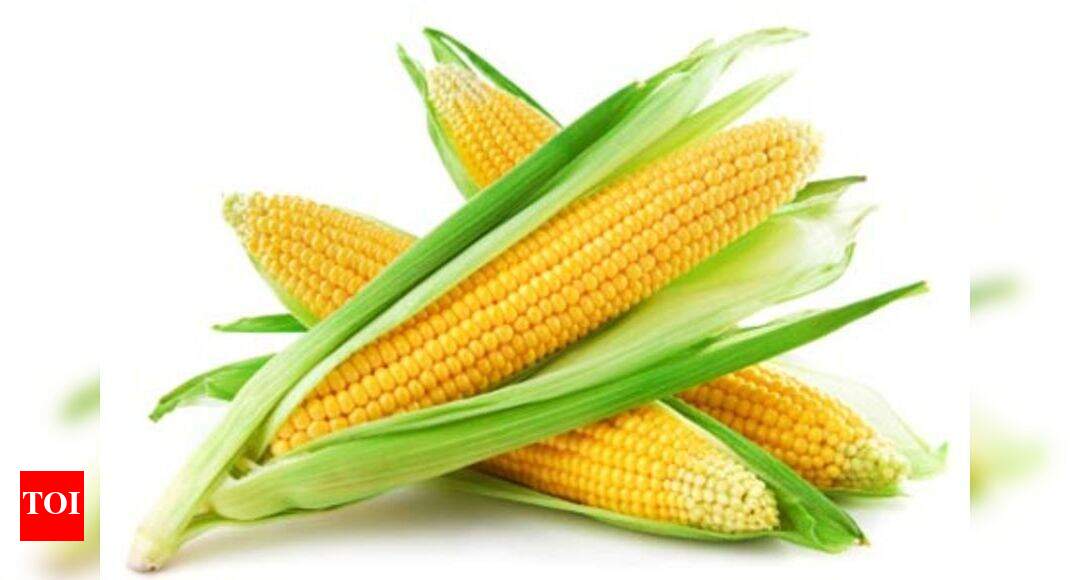 Nothing ‘corn’y about this! - Times of India