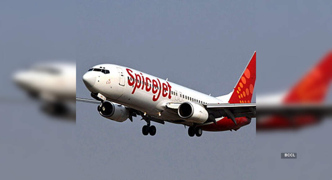 SpiceJet flight hits animal before take-off Photogallery - ETimes
