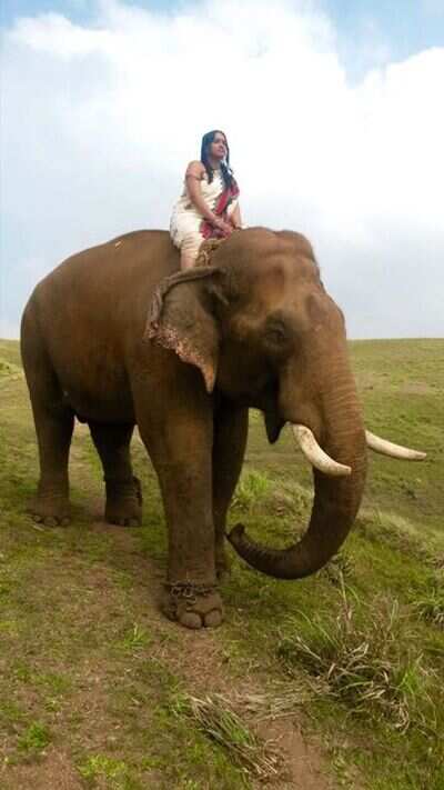Lena's elephant ride | Malayalam Movie News - Times of India