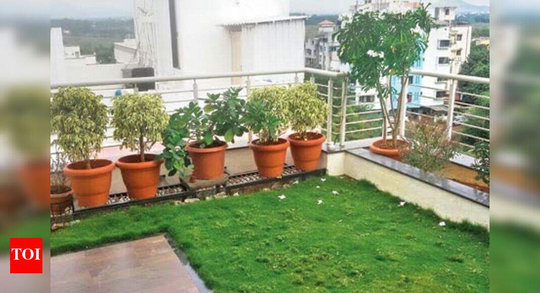 The rise of high-rise gardens - Times of India