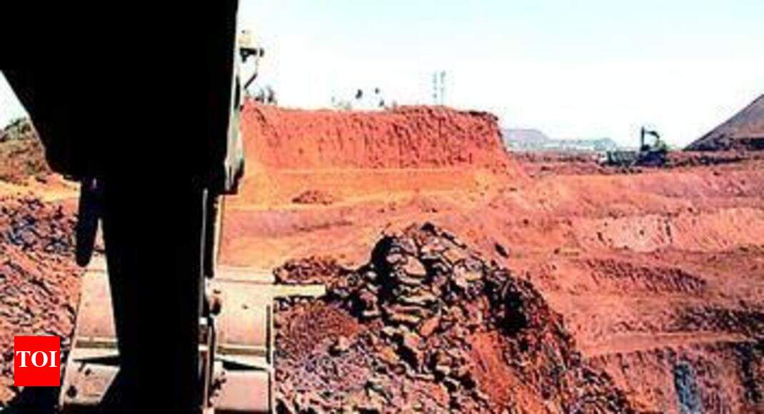 Adani group's Australian mine project cleared - Times of India