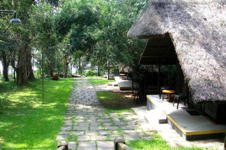 Wildlife spotting at Kabini River Lodge | Times of India Travel