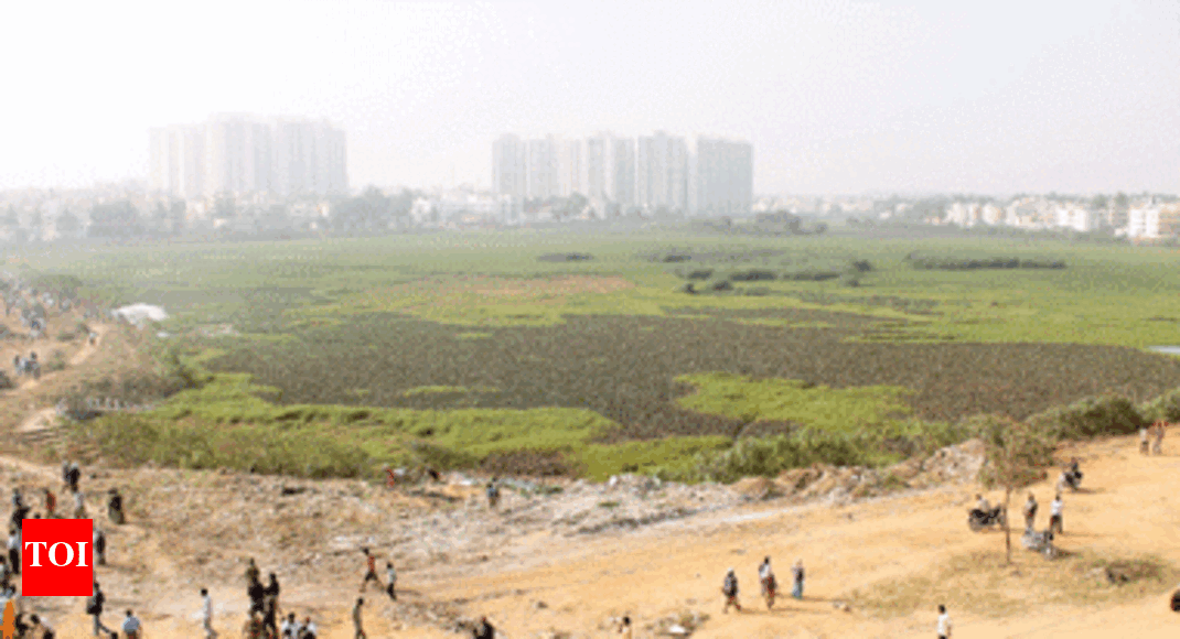 Court orders clearing of Sarakki lake encroachment | Bengaluru News ...