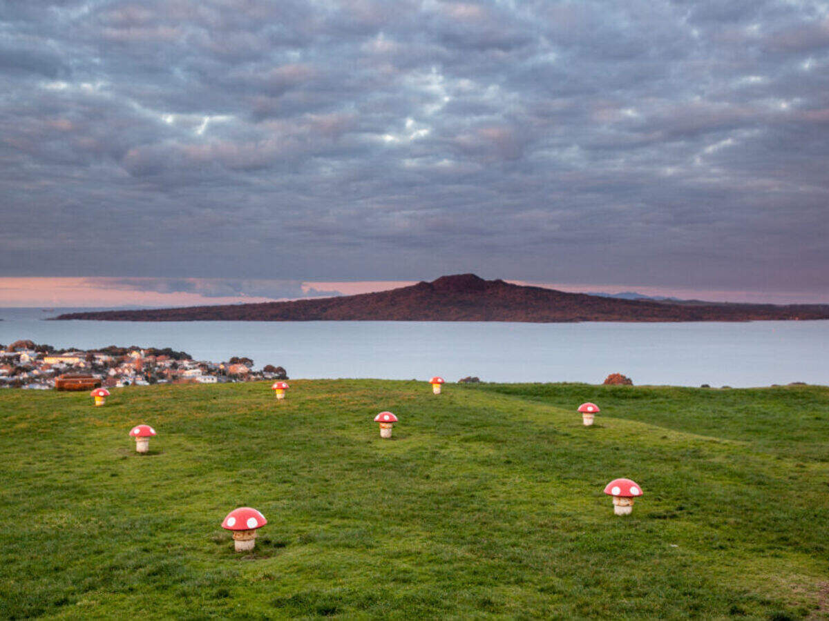 Auckland, The City of Volcanoes | Amusing Planet | TimesTravel