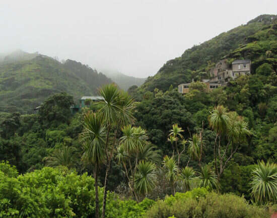 The best camping spots around Auckland | TimesTravel