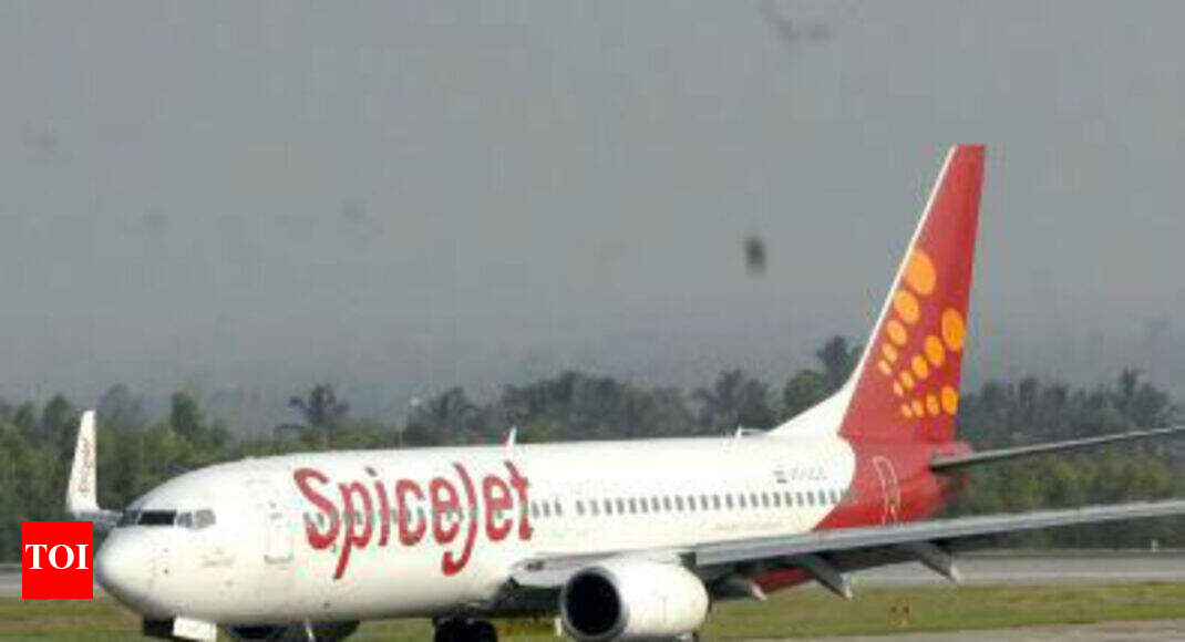 SpiceJet has a history of fight for survival - Times of India