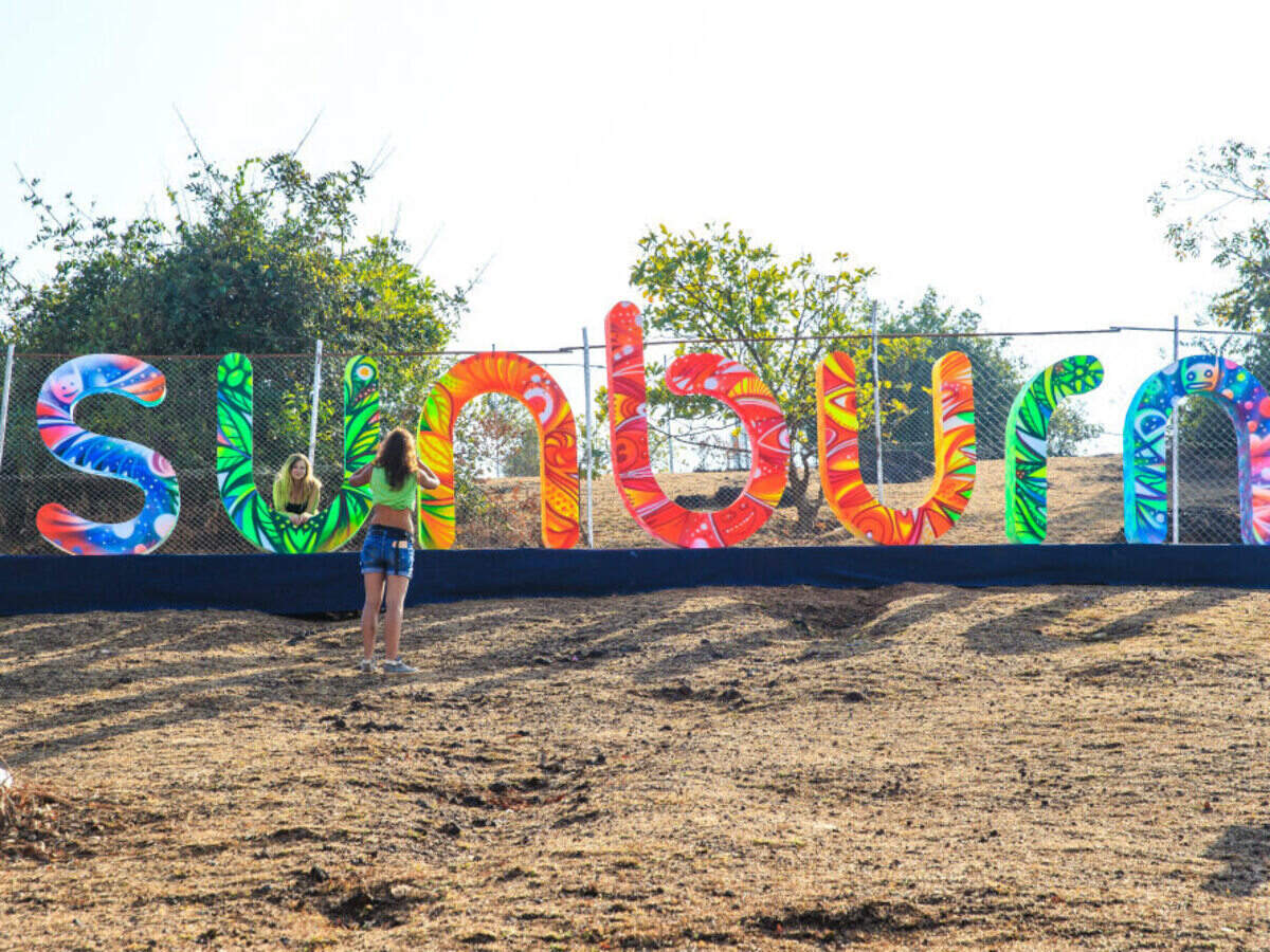Sunburn Goa 2014: Your complete guide to the festival | TimesTravel