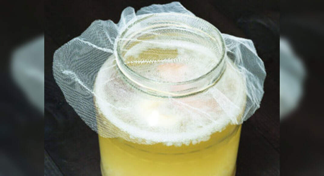 How fermented foods help the body – Food & Recipes