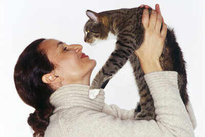 How to talk to your cat - Times of India