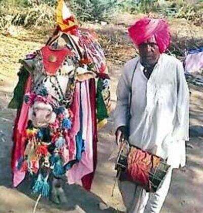 Sahariyas against education norms in polls | Jaipur News - Times of India