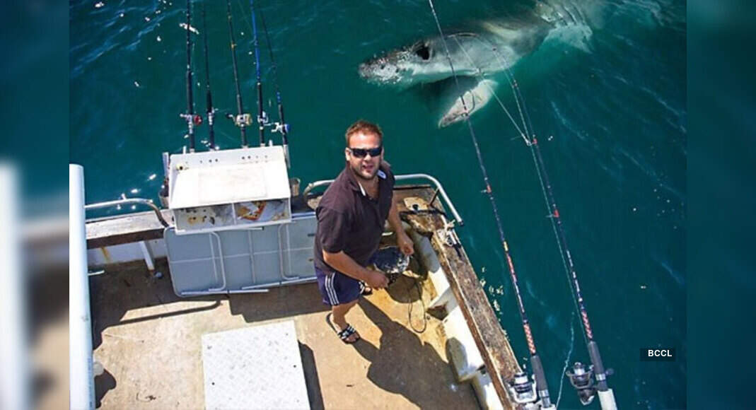 Hilarious & Scary Photobombs Pics | Hilarious & Scary Photobombs Photos ...