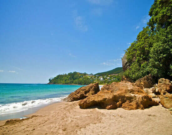Beaches In Coromandel, New Zealand | Hot Water Beach, Coromandel ...