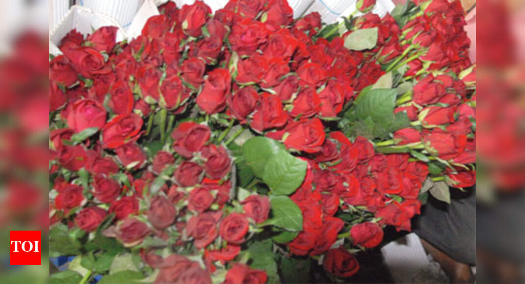 The prices of roses up this Valentine’s Day - Times of India
