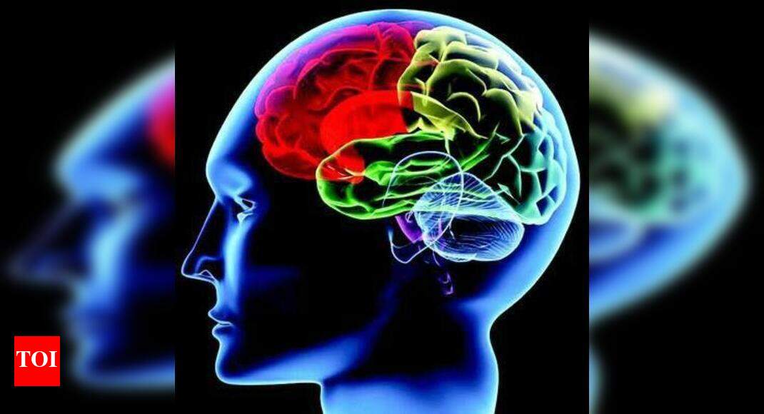 Brain abilities peak at different ages finds new study - The Times of India