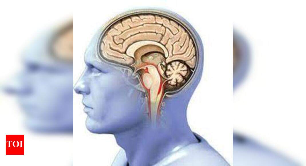 Part of brain that makes you go 'ouch' identified - Times of India