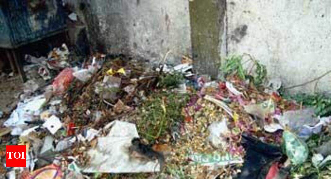Garbage, stench greet visitors to Marudhamalai | Coimbatore News ...