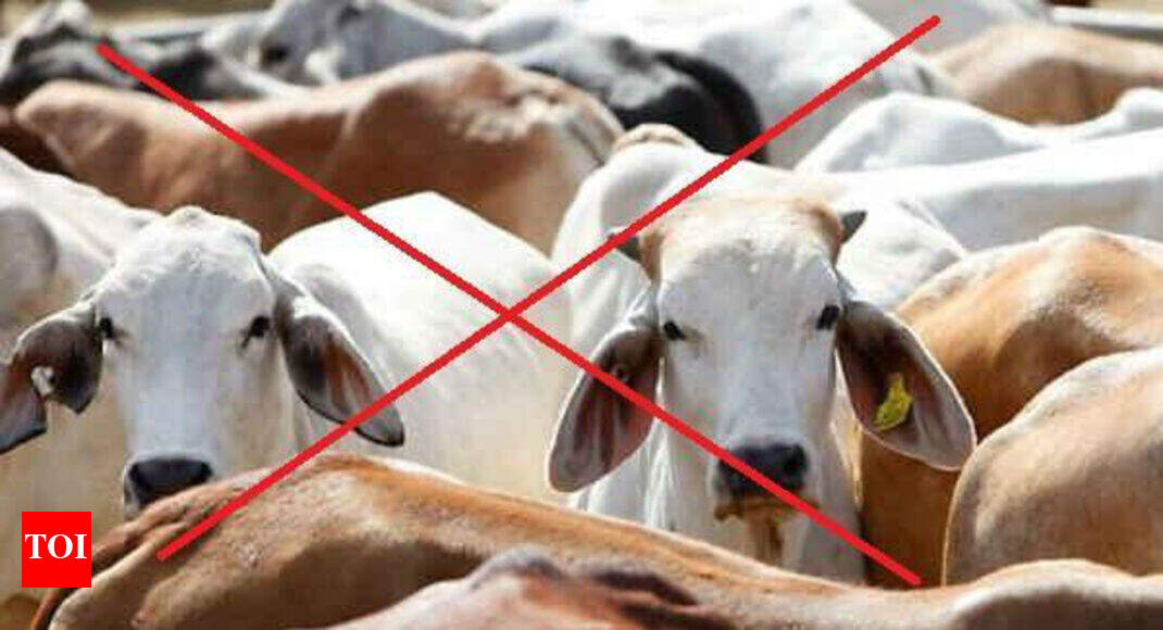Beef ban law is 'reasonable restriction', does not violate fundamental ...