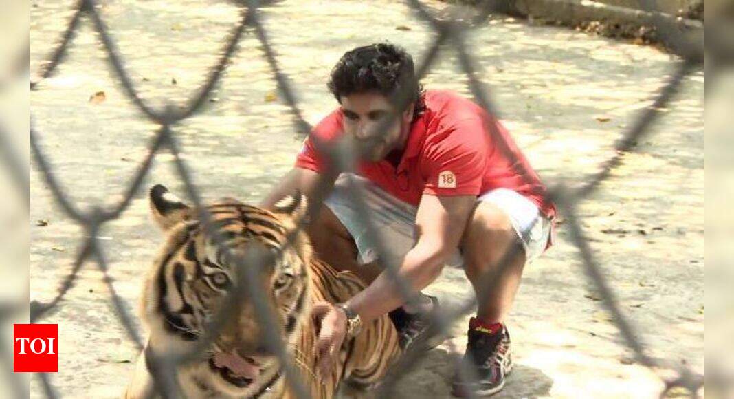 It was my long cherished desire to touch a tiger | Malayalam Movie News ...