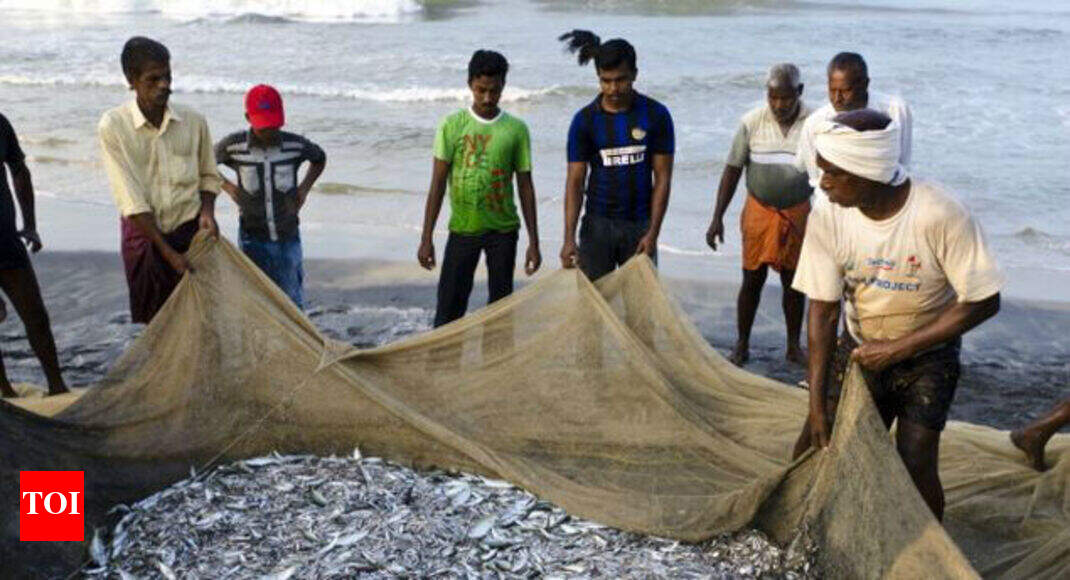 Fish Catch Across India Drops By 5 India News Times Of India fish-catch-across-india-drops-by-5-india-news-times-of-india