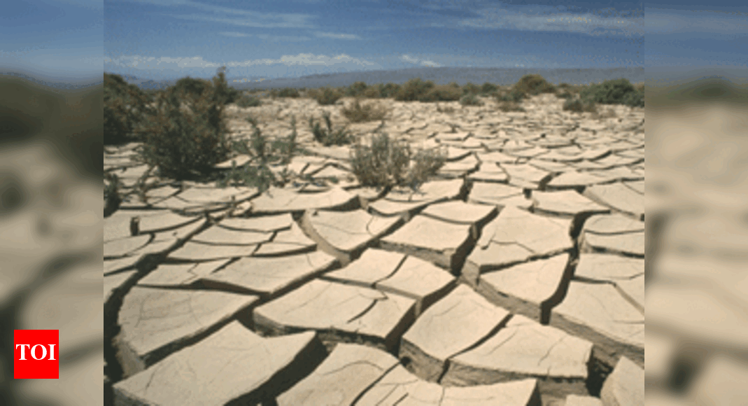 Driest place on earth found in Atacama Desert, Chile - Times of India