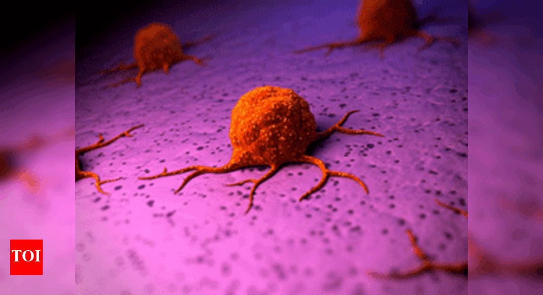 Check typhoid to control gallbladder carcinoma: Study - Times of India