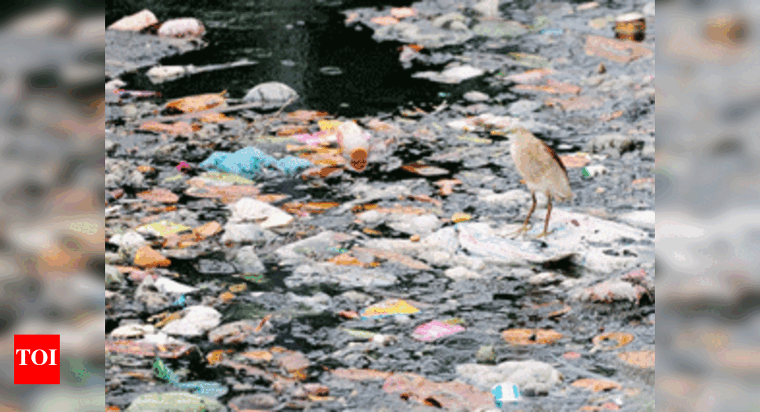 Plastic choking Gir, the pride of Gujarat - Times of India