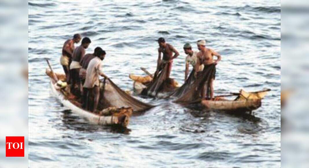 Odisha makes plan to double fish production - Times of India