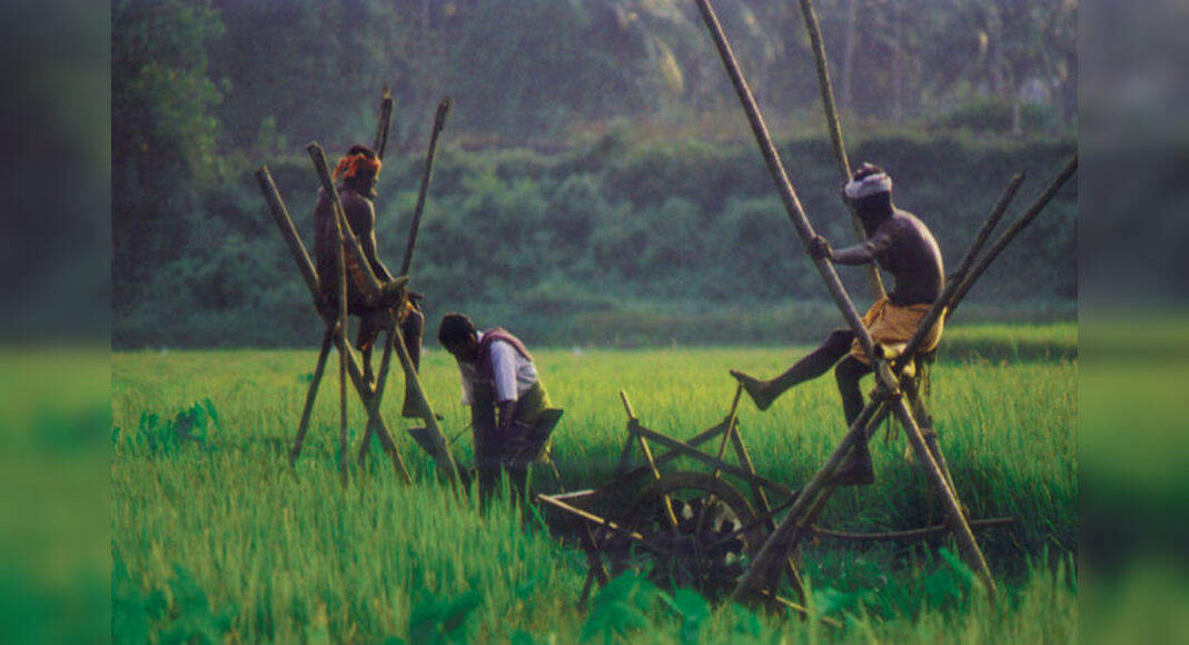 Kuttanad - Alleppey: Get the Detail of Kuttanad on TimesTravel