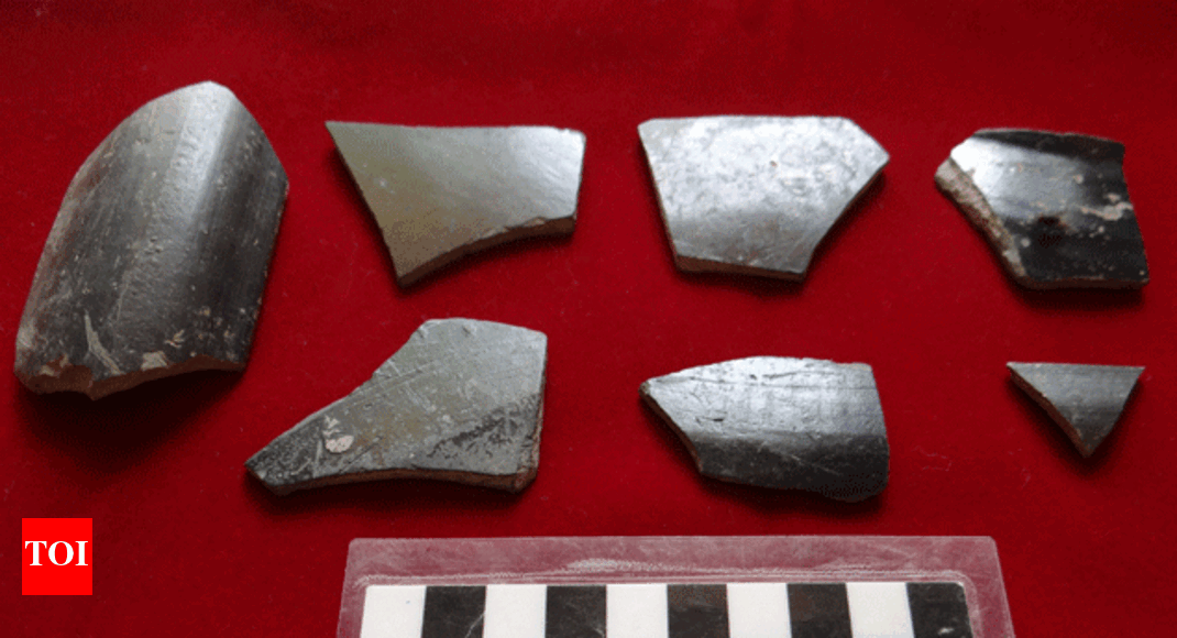 Rare Northern Black Polished Ware of 2nd century BC found in ...