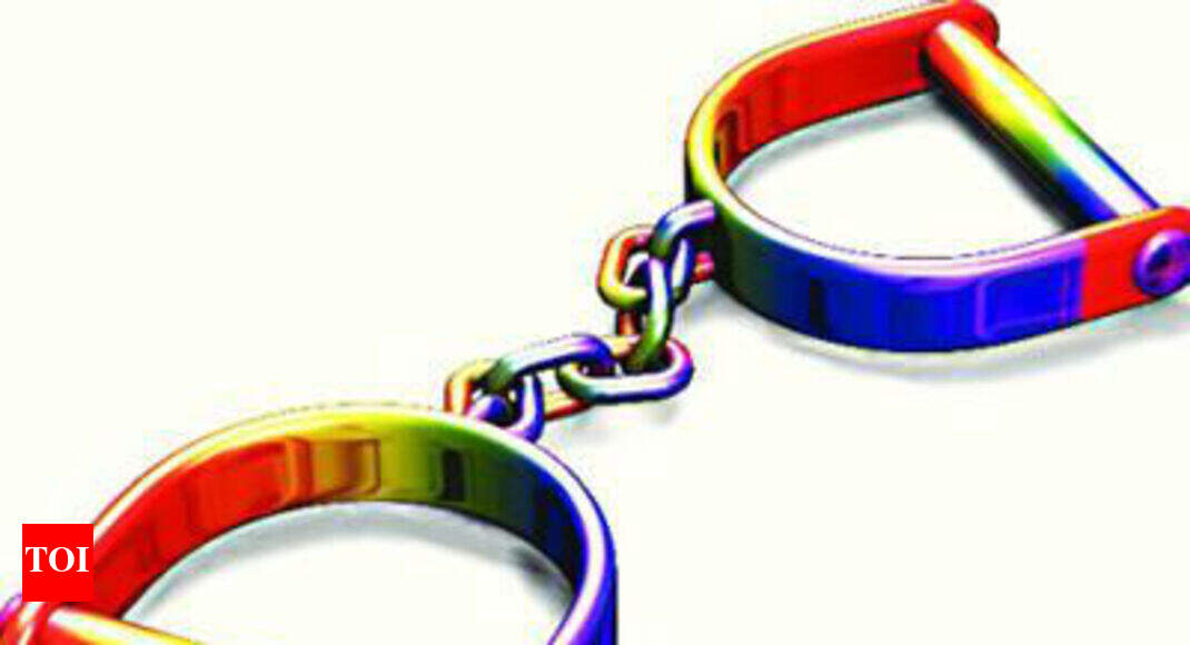 First cyber case conviction in Maharashtra | India News - Times of India
