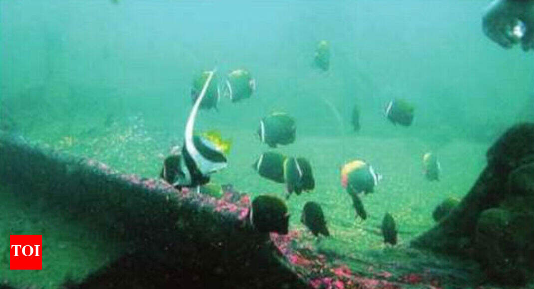A history that is buried in the depths of Goa sea | India News - Times ...
