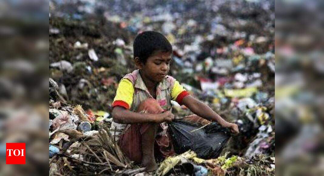 Rag pickers get ID cards, and recognition as a workforce | Chennai News ...