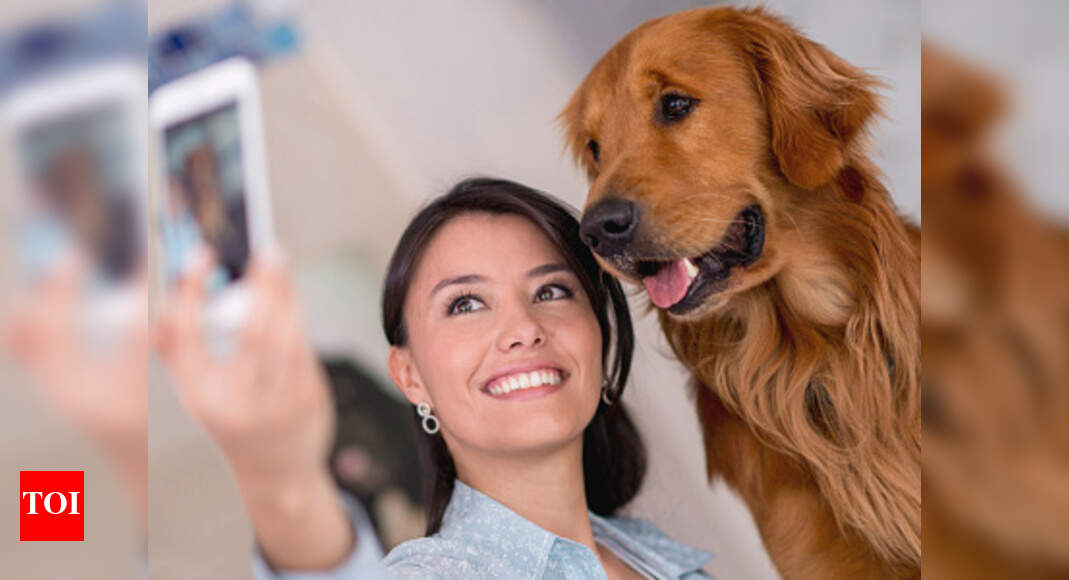 Cutest furry pets of Instagram you need to know - Times of India