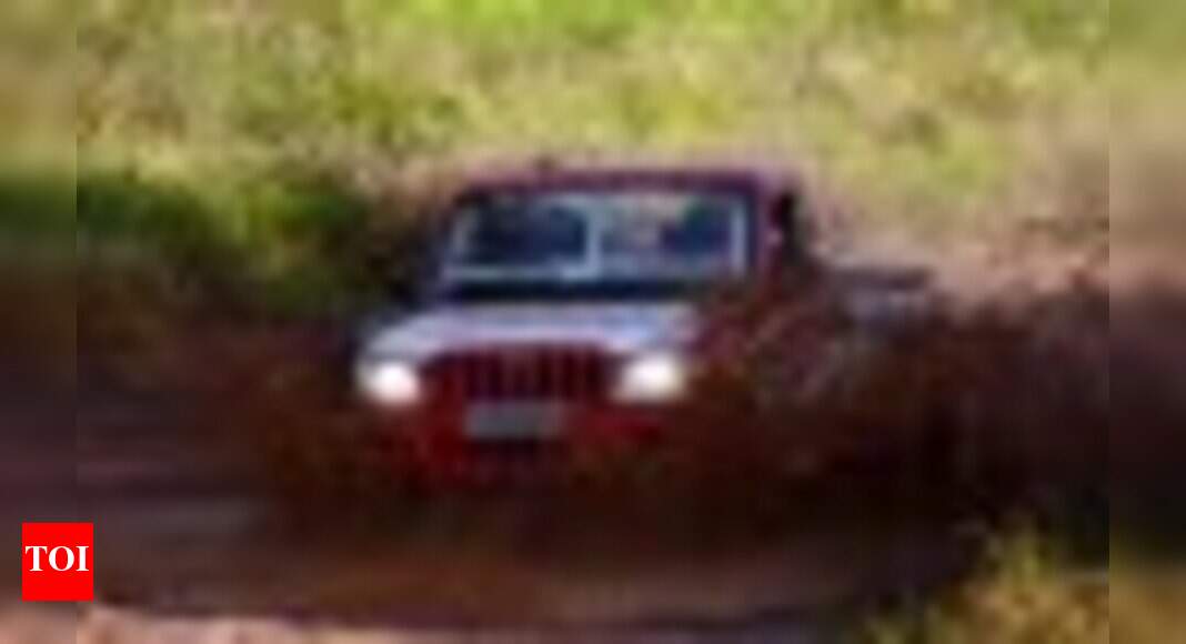 Mahindra's Brazilian Feat - Times of India