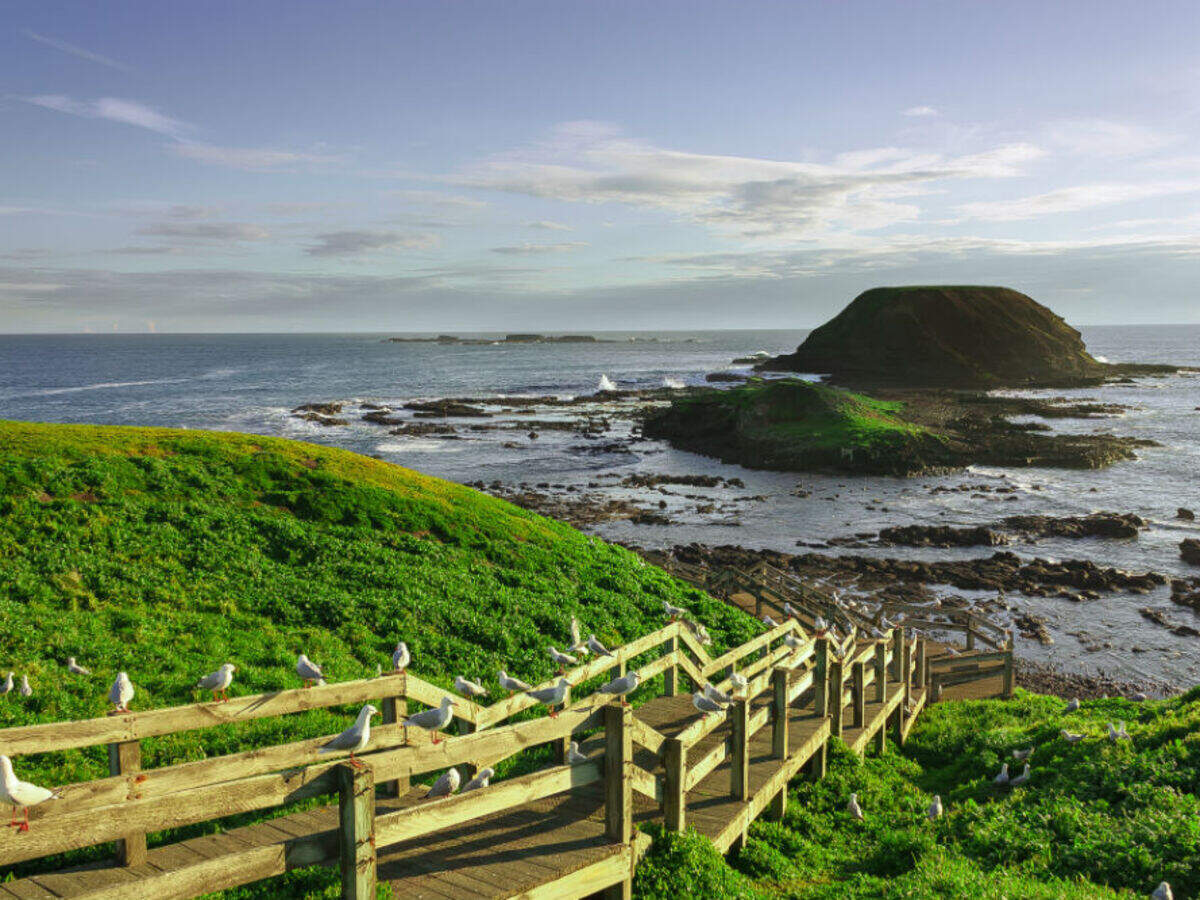 Places To Visit In Phillip Island | Things To Do In Phillip Island ...