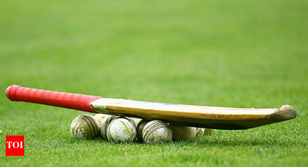 World's highest cricket stadium in Lahaul-Spiti? | News - Times of India