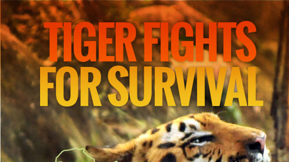 Infographics | The Times of India