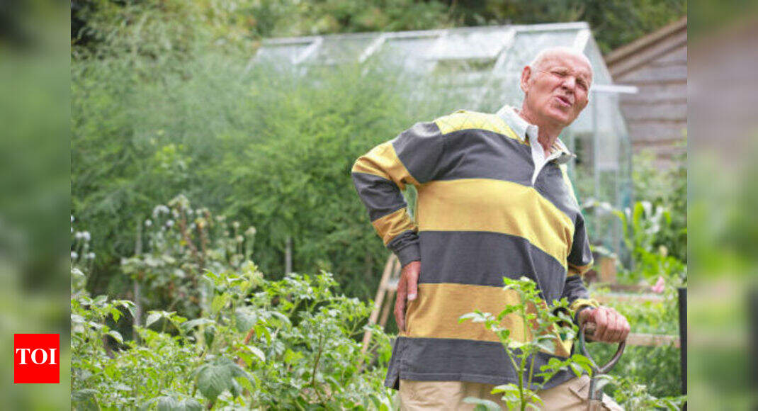5 tips to avoid gardening injuries - Times of India