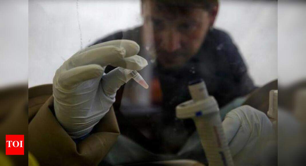 Ebola vaccine found effective in monkeys - Times of India