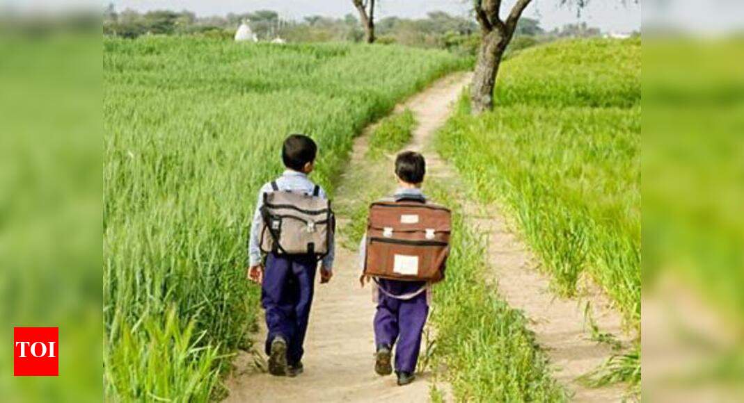 Ensure common education system in the country: Experts - Times of India